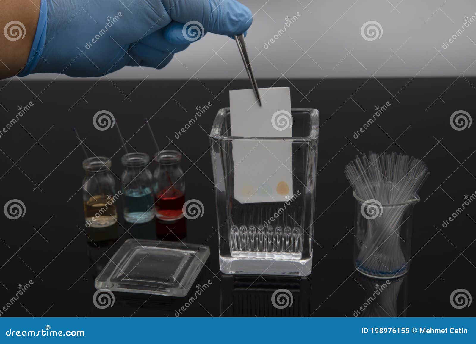 Colorful Sample Application of Thin Layer Chromatography. the Process ...