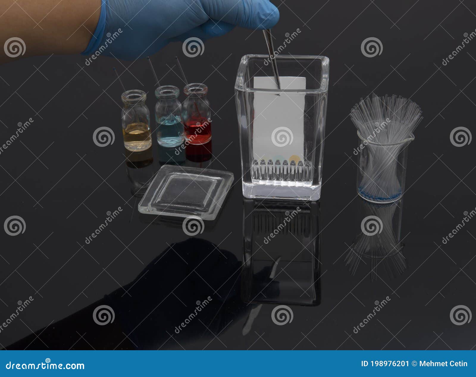 Colorful Sample Application of Thin Layer Chromatography. the Process ...