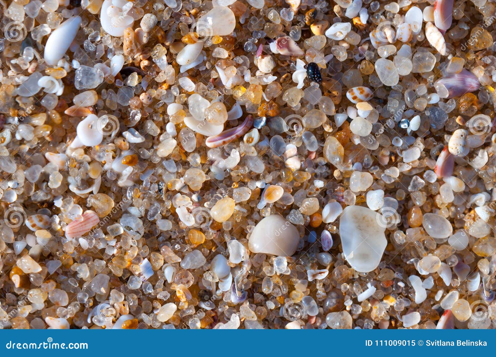 Colorful Sand or Pebble Texture. Seamless Texture Stock Image - Image ...