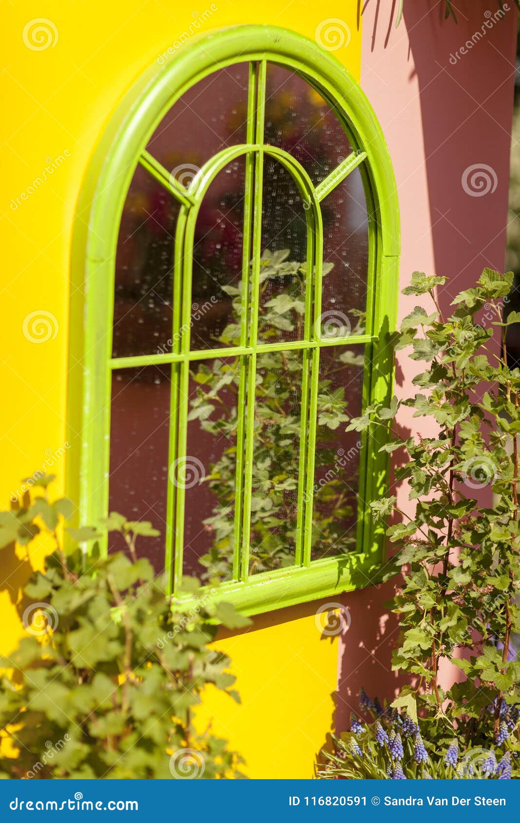 Colorful scenery stock image. Image of window, plants - 116820591
