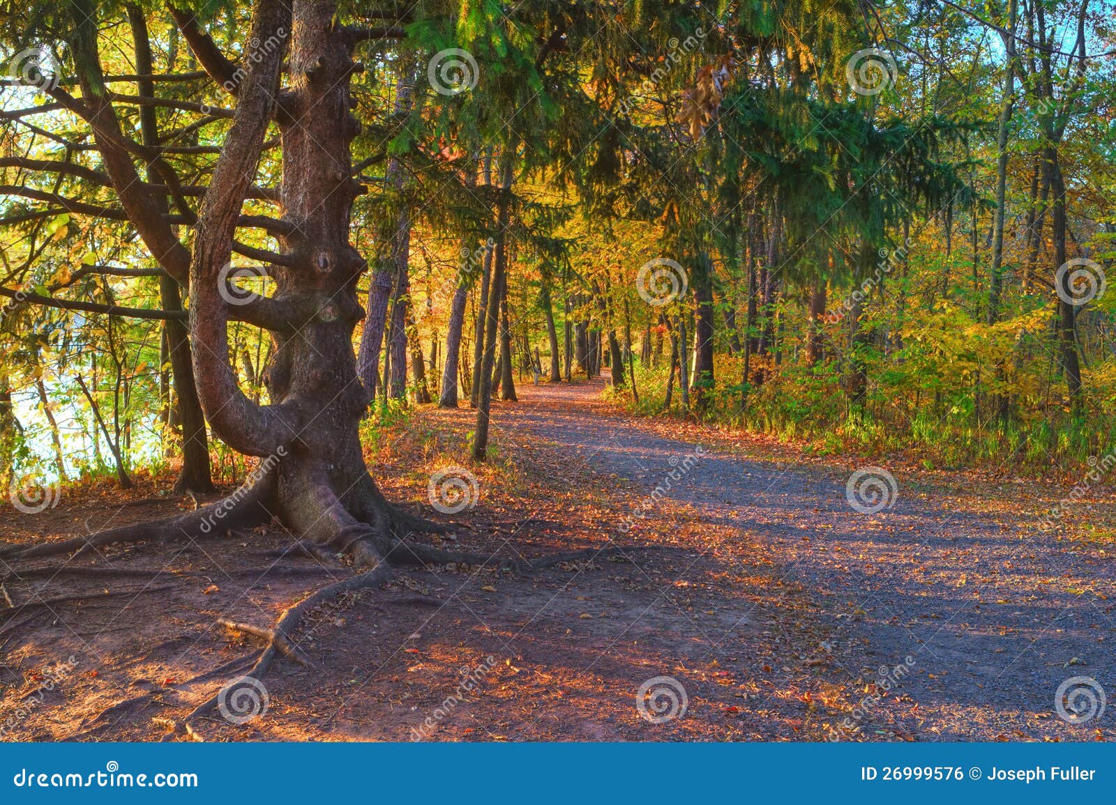 Colorful Scenic Landscape in HDR Stock Photo - Image of river, high ...