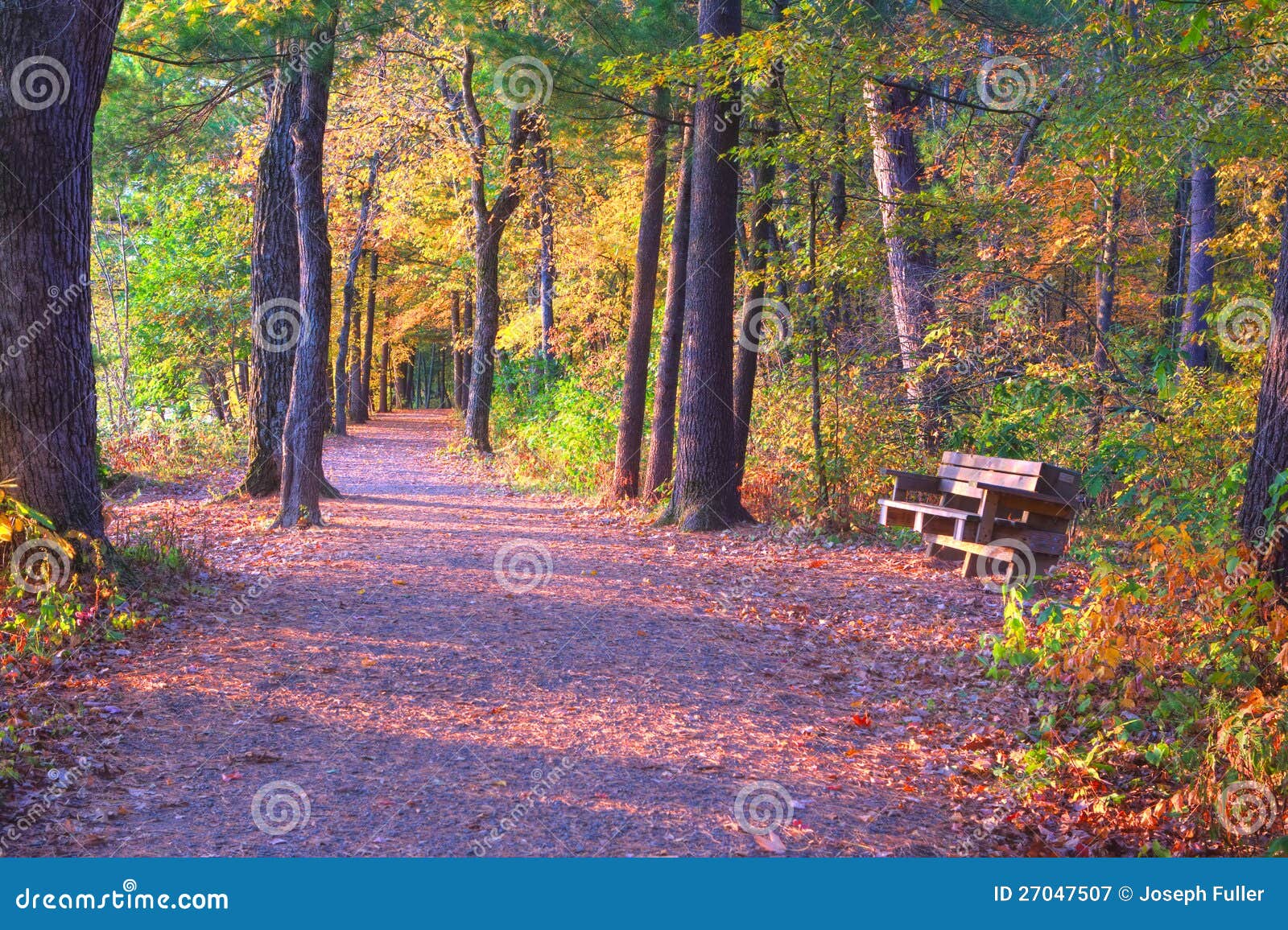 Colorful Scenic Landscape in HDR Stock Image - Image of autumn, beauty ...