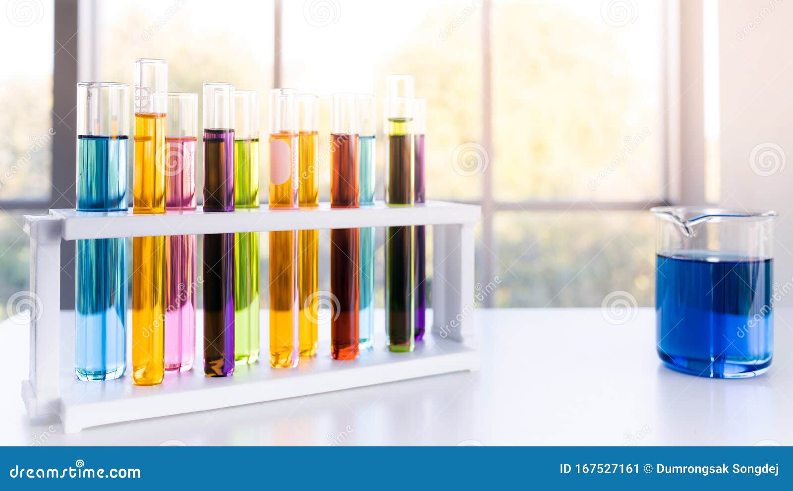 Colorful Science Club Design Featuring Microscope And Molecular ...