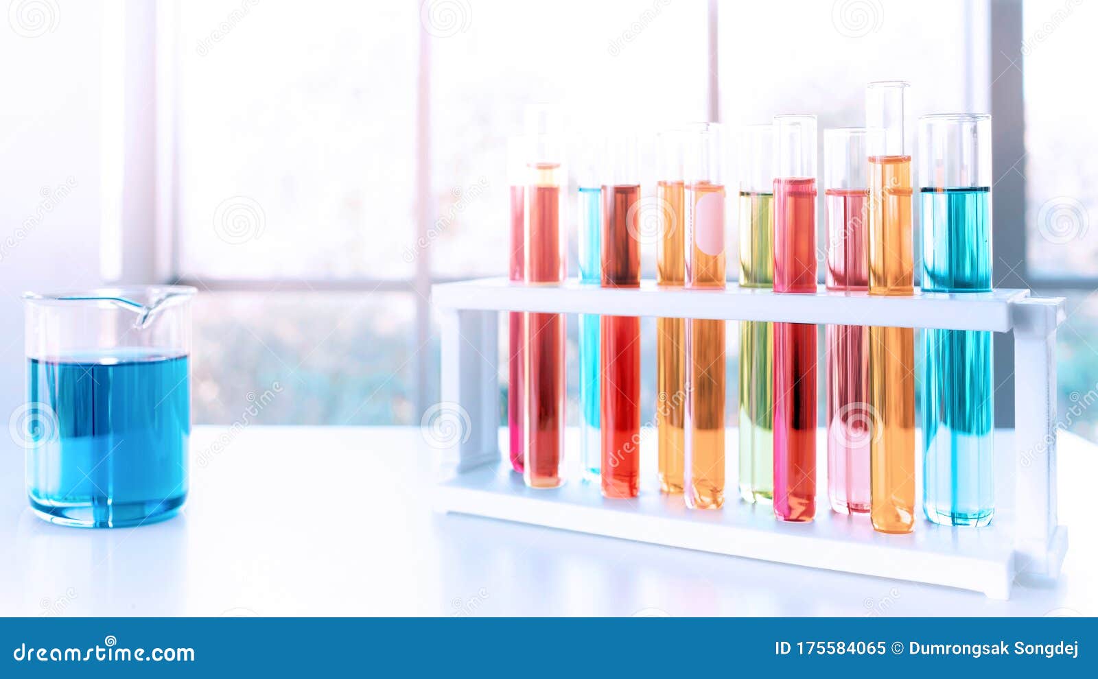Colorful Science Test Tube in Plastic Rack with Blue Water in Beaker on ...