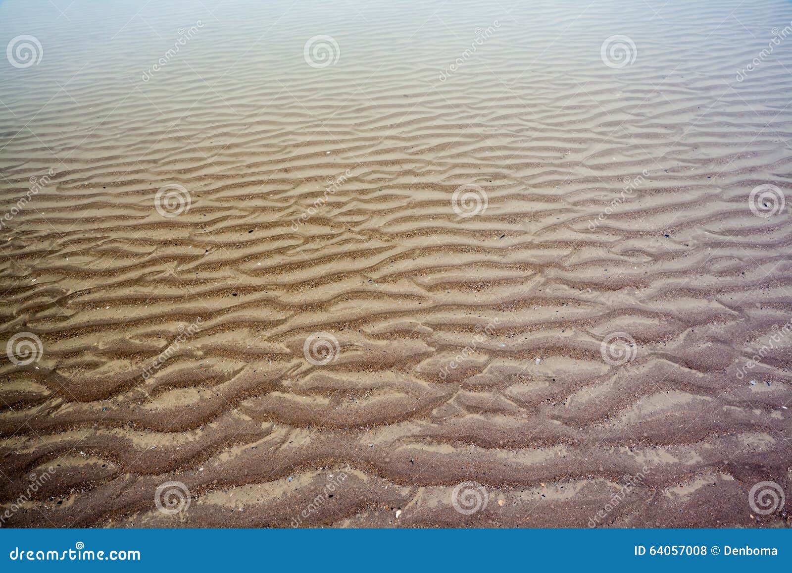 The colorful sea sand stock photo. Image of sandy, close - 64057008
