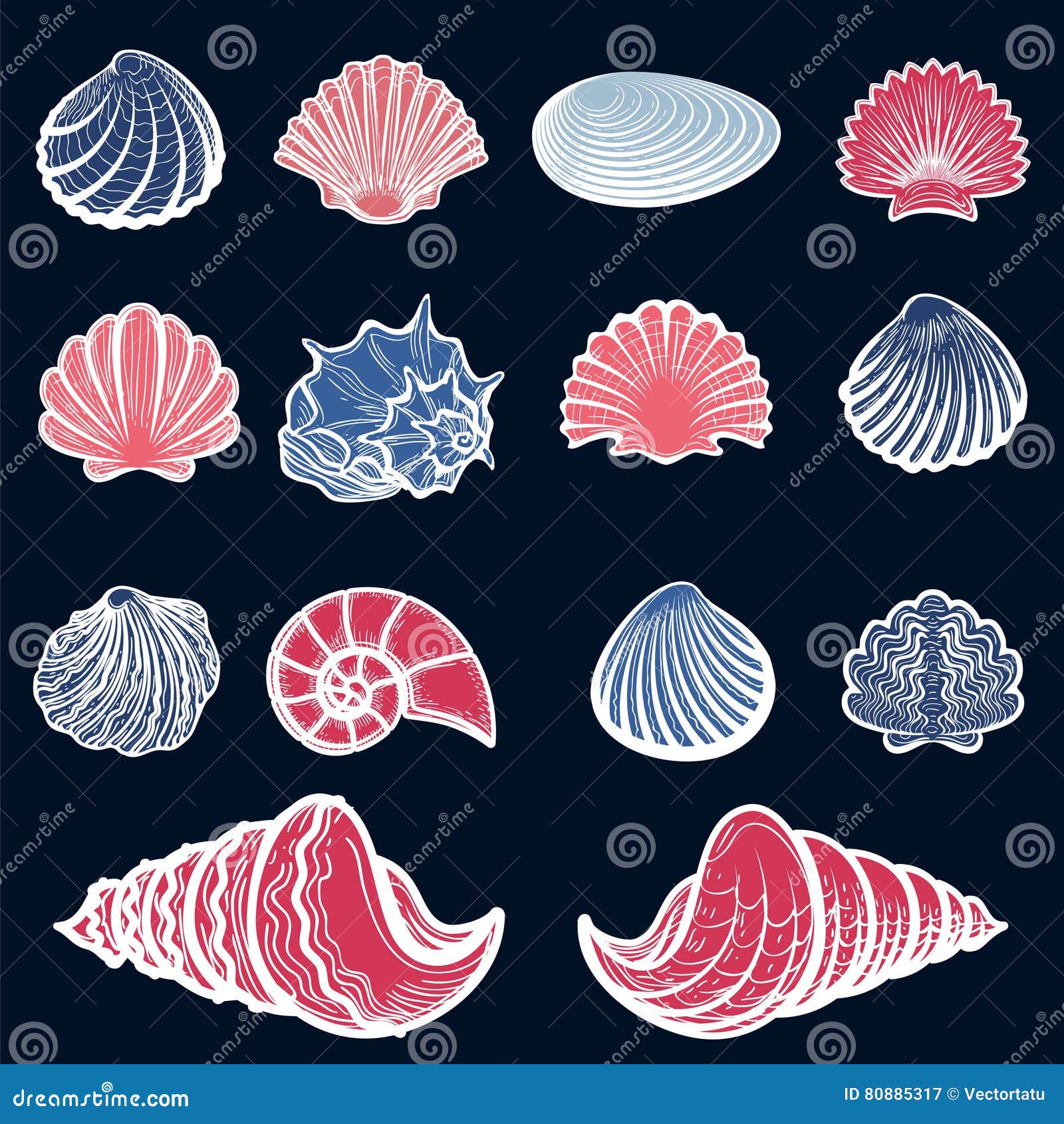 Colorful sea shell set stock vector. Illustration of oyster - 80885317