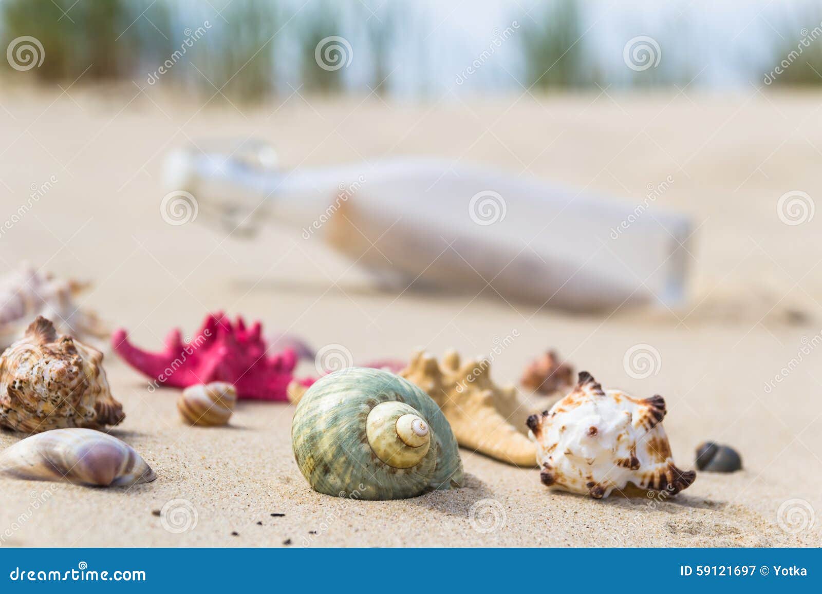 277 Ocean Background Sea Shells Message Bottle Stock Photos - Free ...