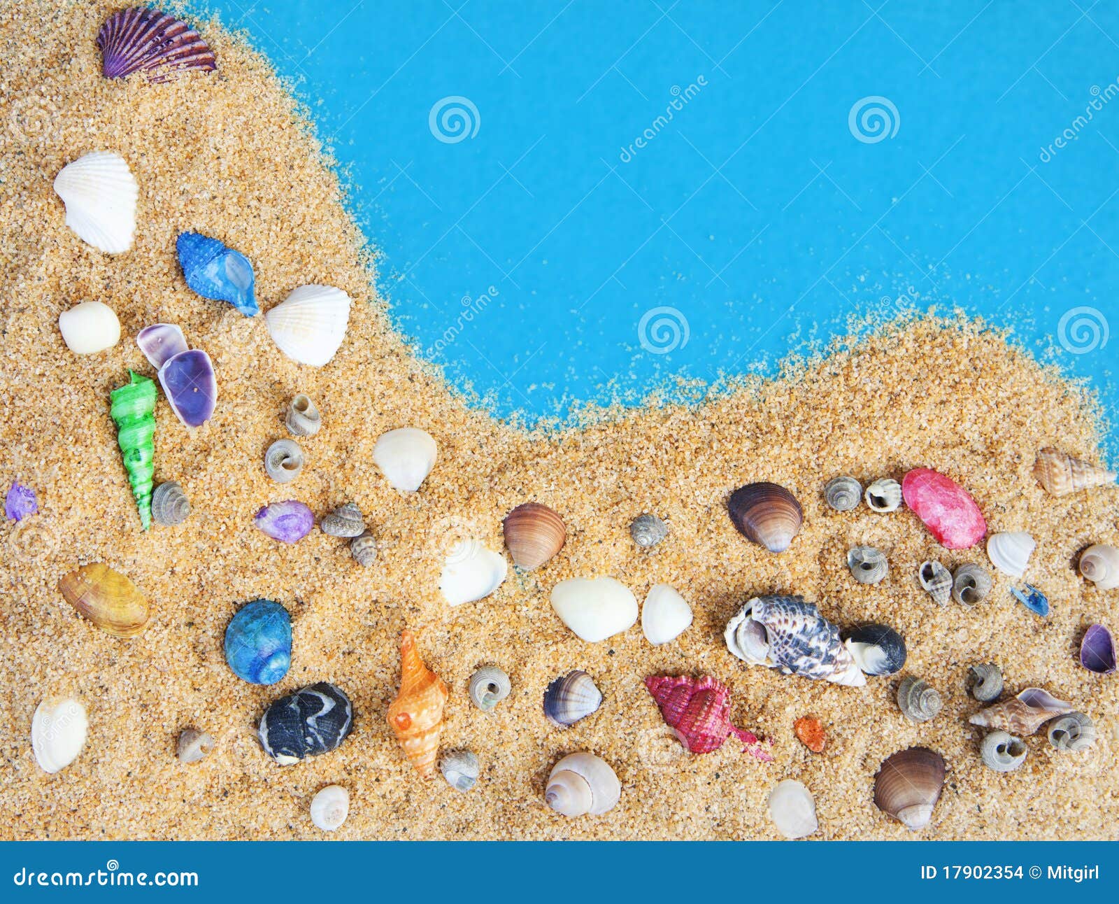 Colorful Sea Shells on a Sand Bed Stock Photo - Image of collection ...