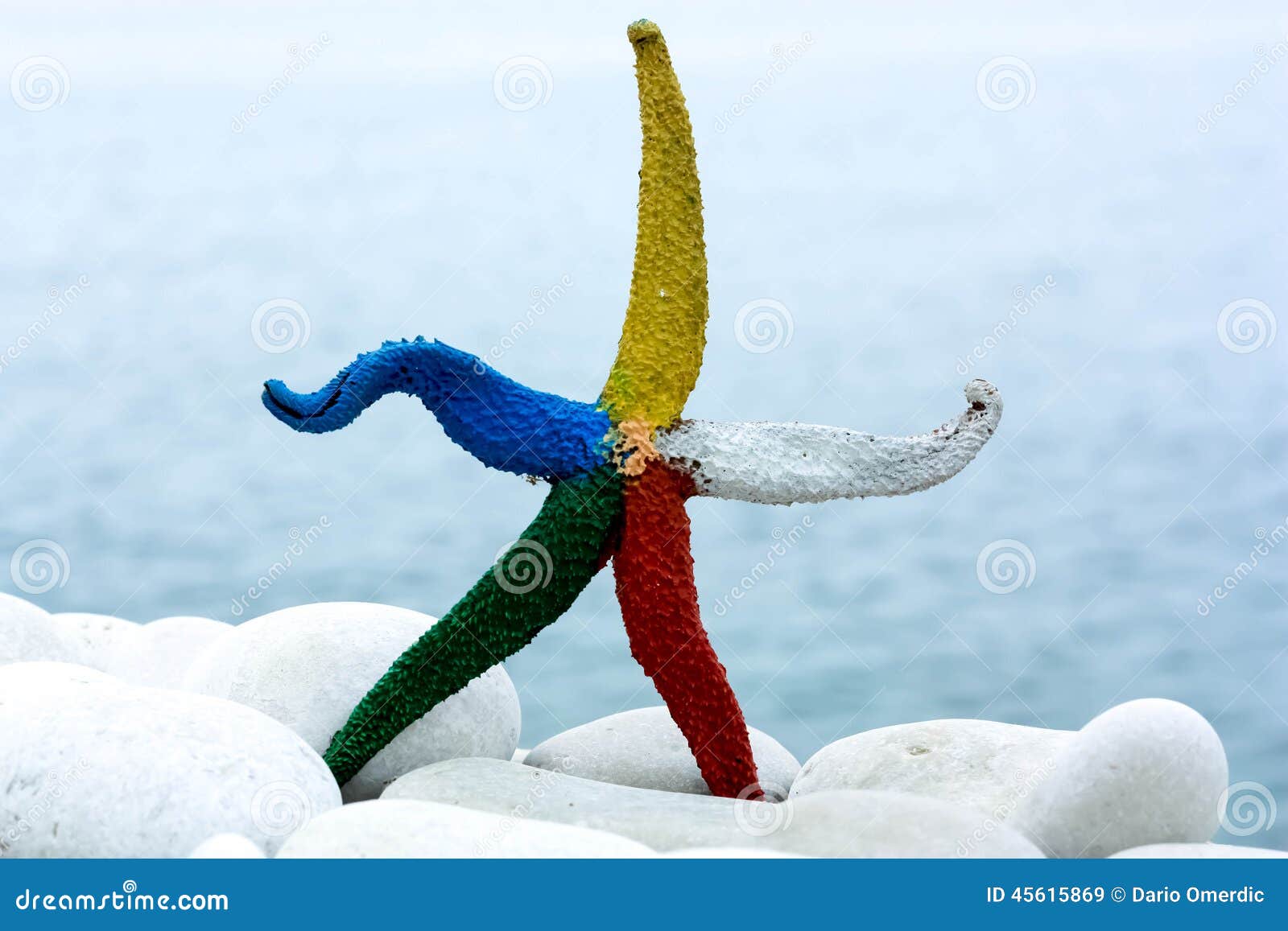 Colorful Sea Star stock image. Image of object, still - 45615869