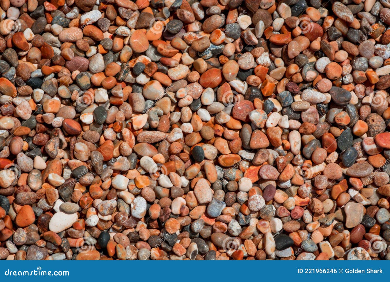 Colorful Sea Stones Background. Colorful Pebbles Texture Stock Photo ...