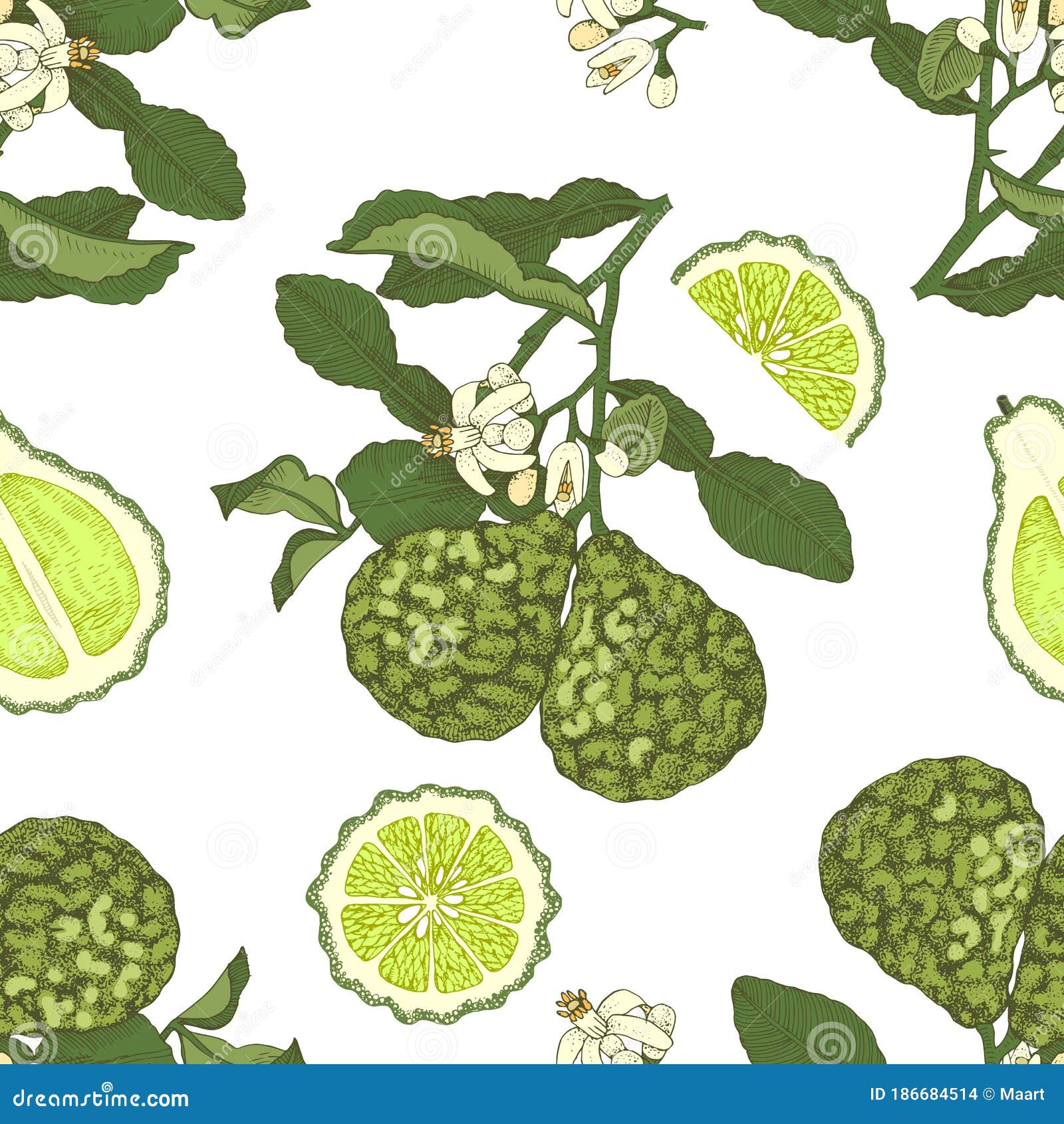 Colorful Seamless Pattern with Bergamot Stock Vector - Illustration of ...
