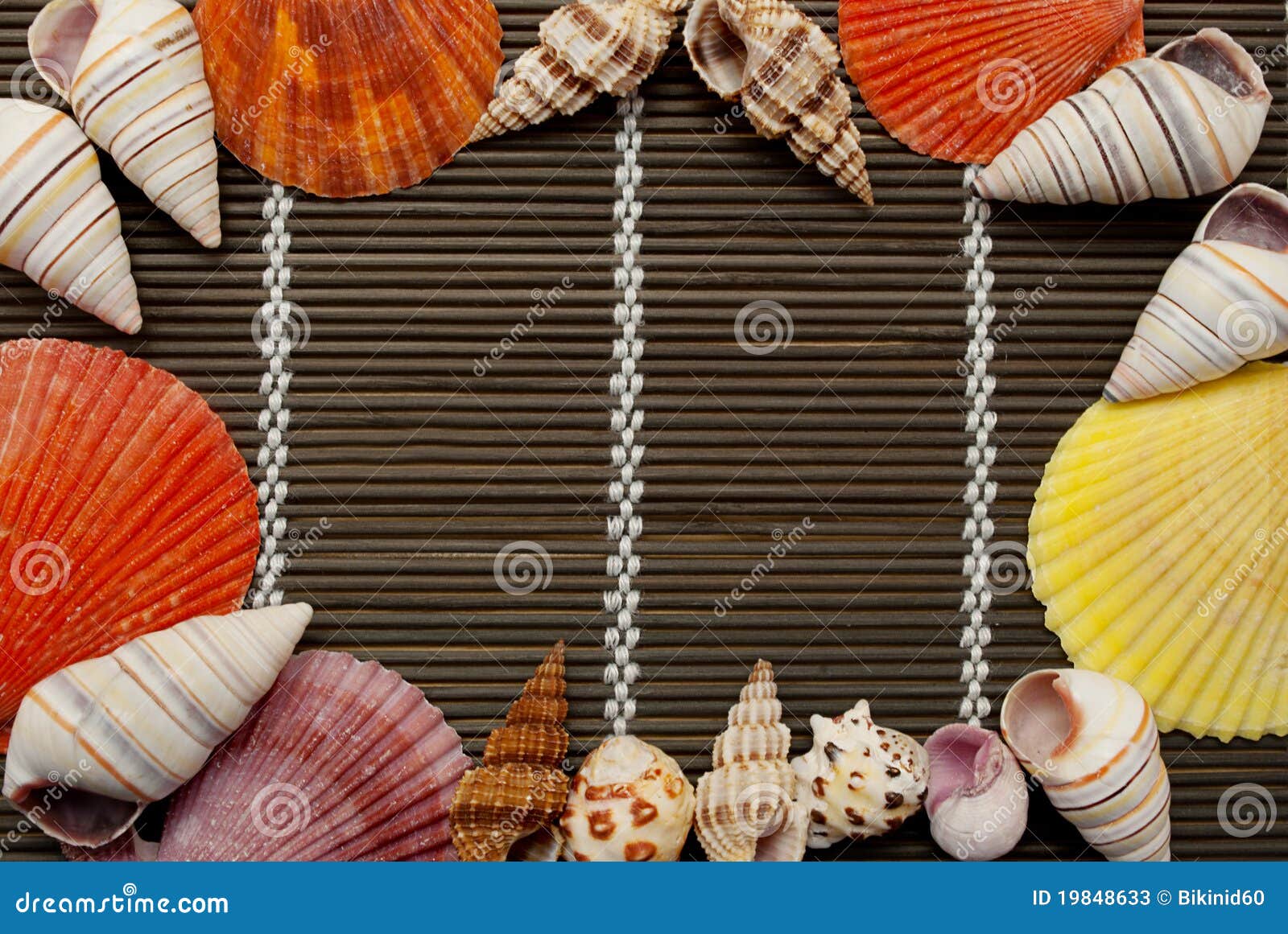 Colorful seashells. stock image. Image of border, horizontal - 19848633