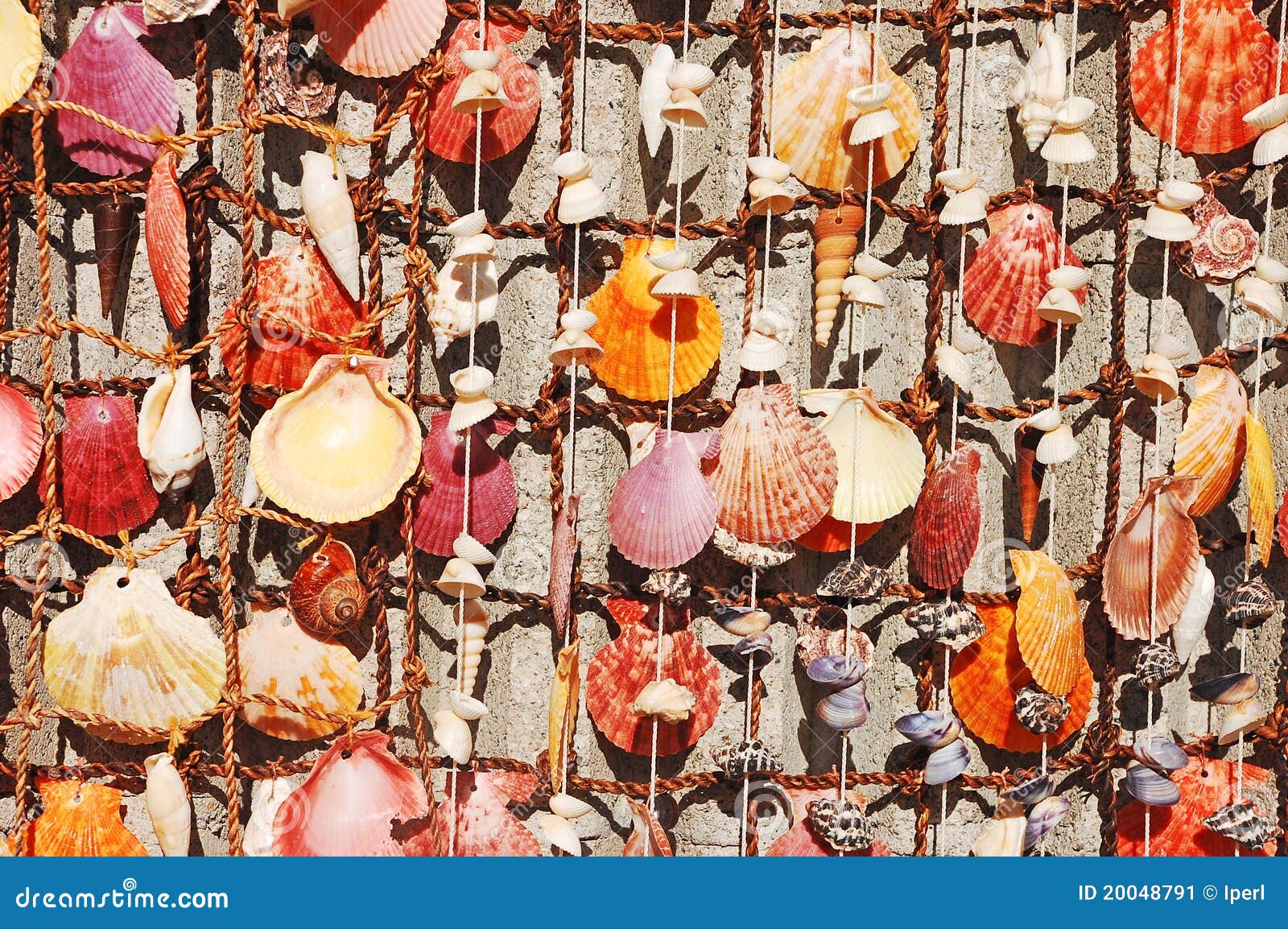 Colorful seashells stock image. Image of clams, shore - 20048791