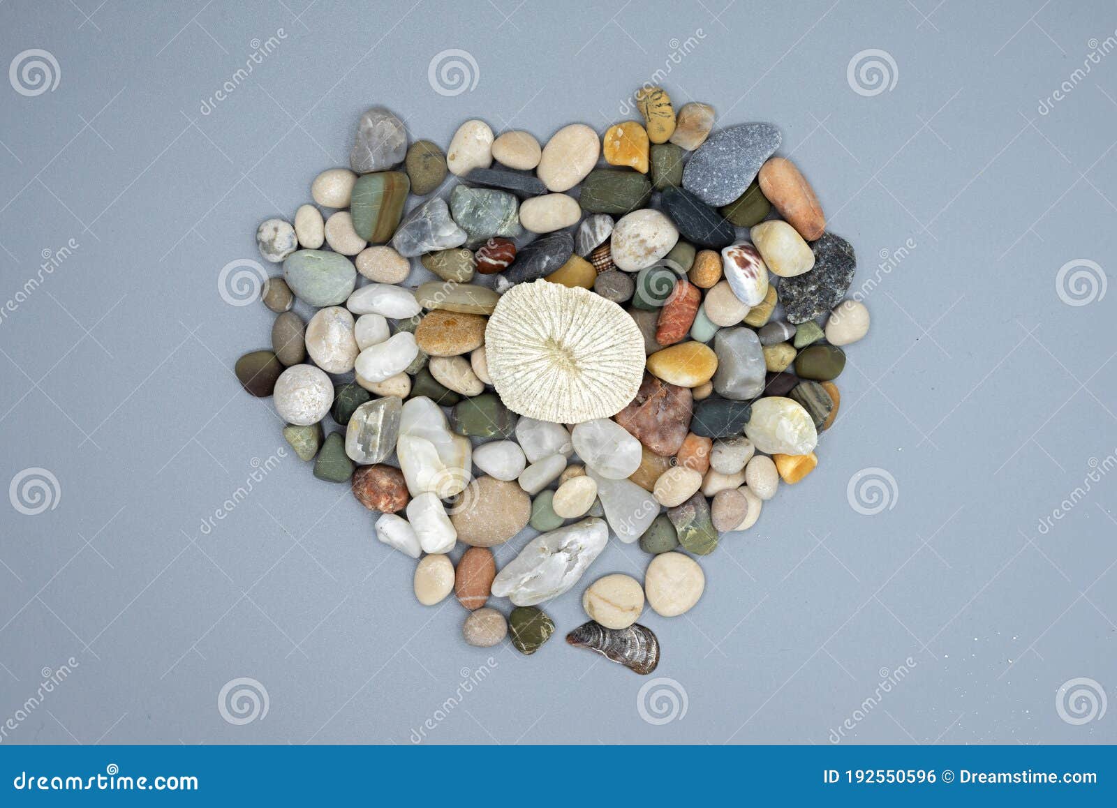 Colorful Seashells and Stones Stock Photo - Image of object, seashells ...