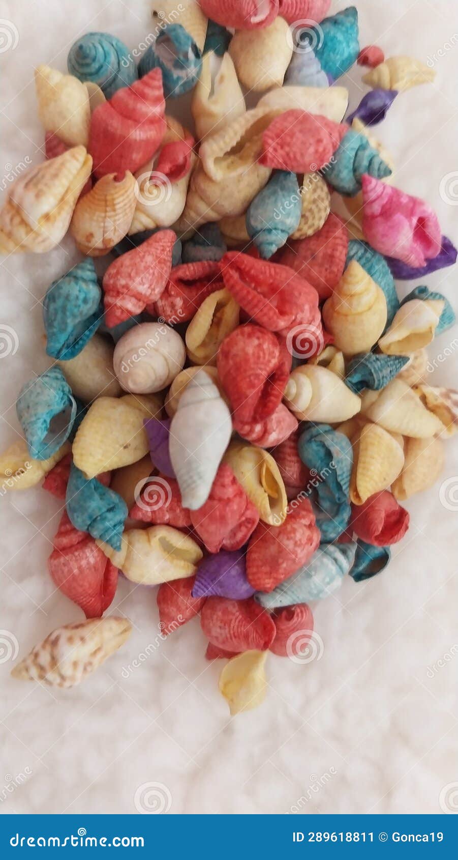 Colorful Seashells Vibrant Colors Mini Cute Seashell Stock Image ...