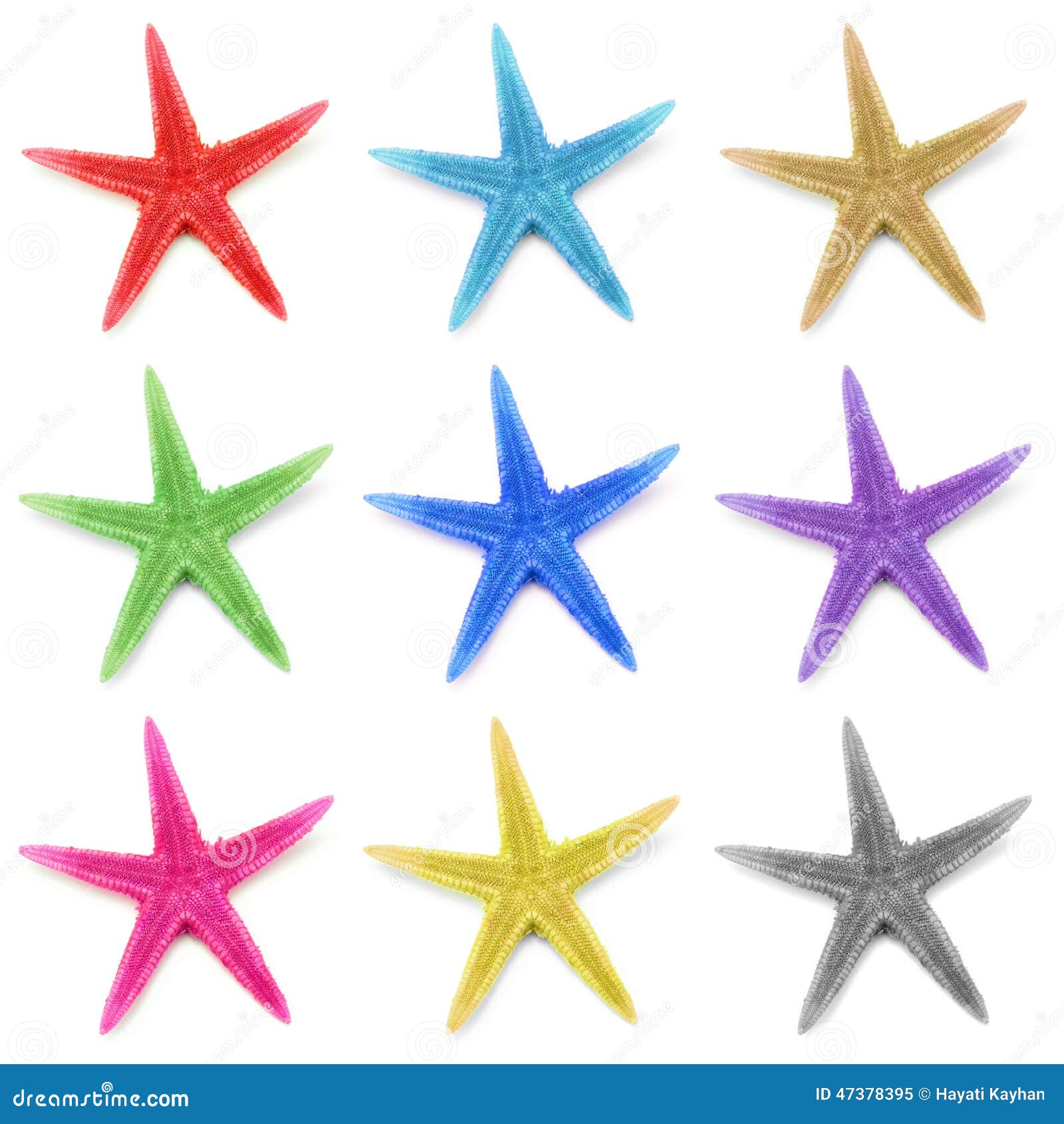 Colorful Seastars, Isolated on White Background Stock Image - Image of ...