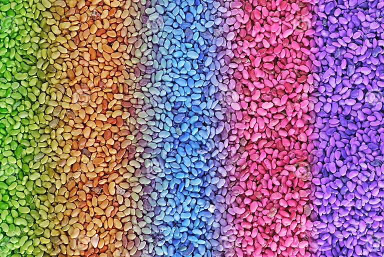 Colorful seeds stock image. Image of groats, beans, dried - 4598135