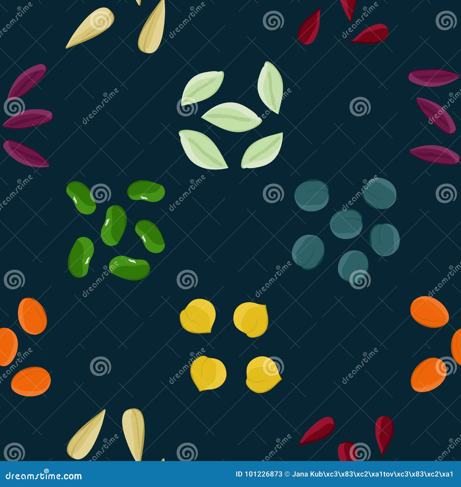 Colorful seeds stock vector. Illustration of food, grain - 101226873