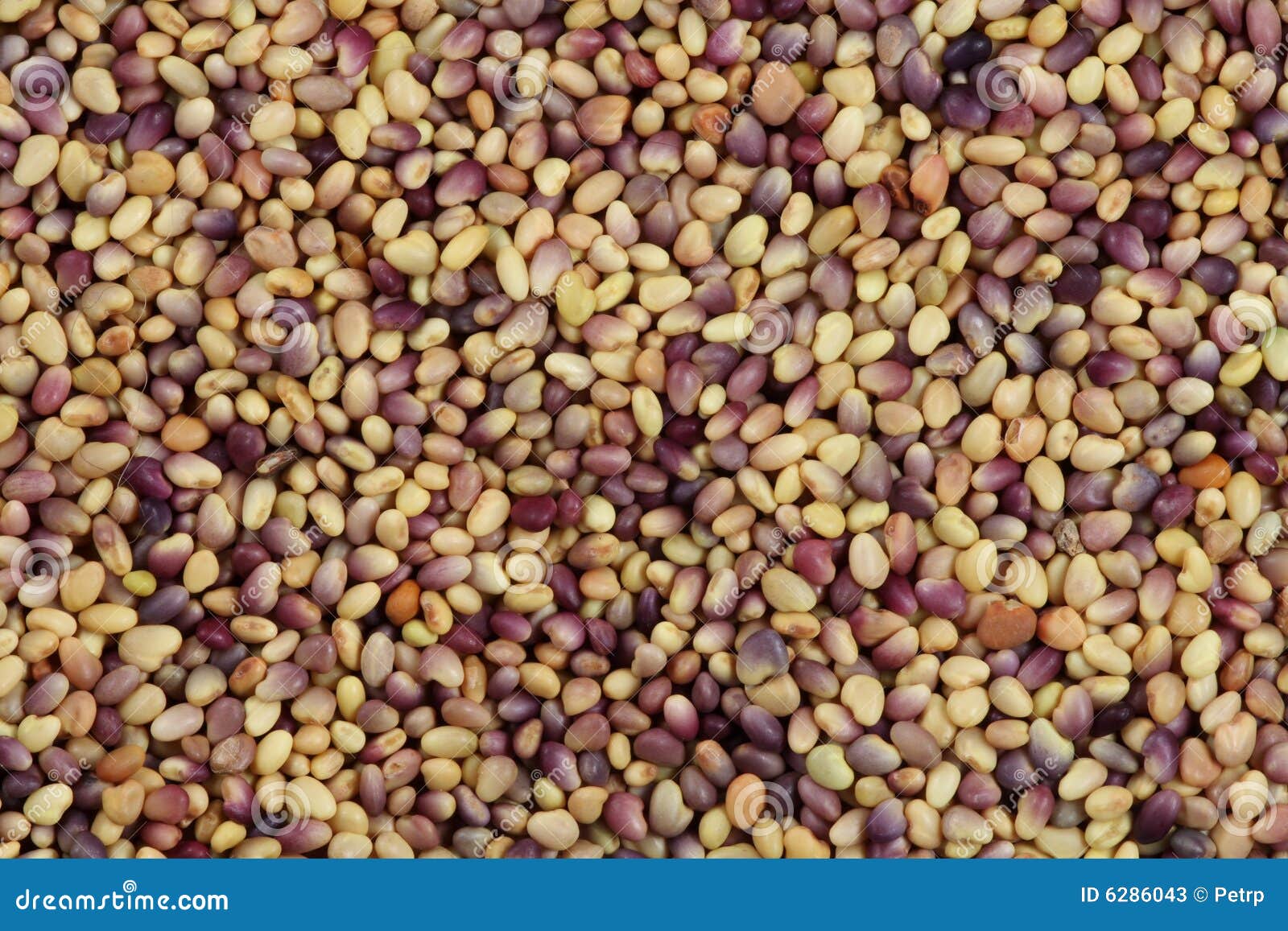 Colorful Seeds Mixture Close-up Picture. Image: 6286043