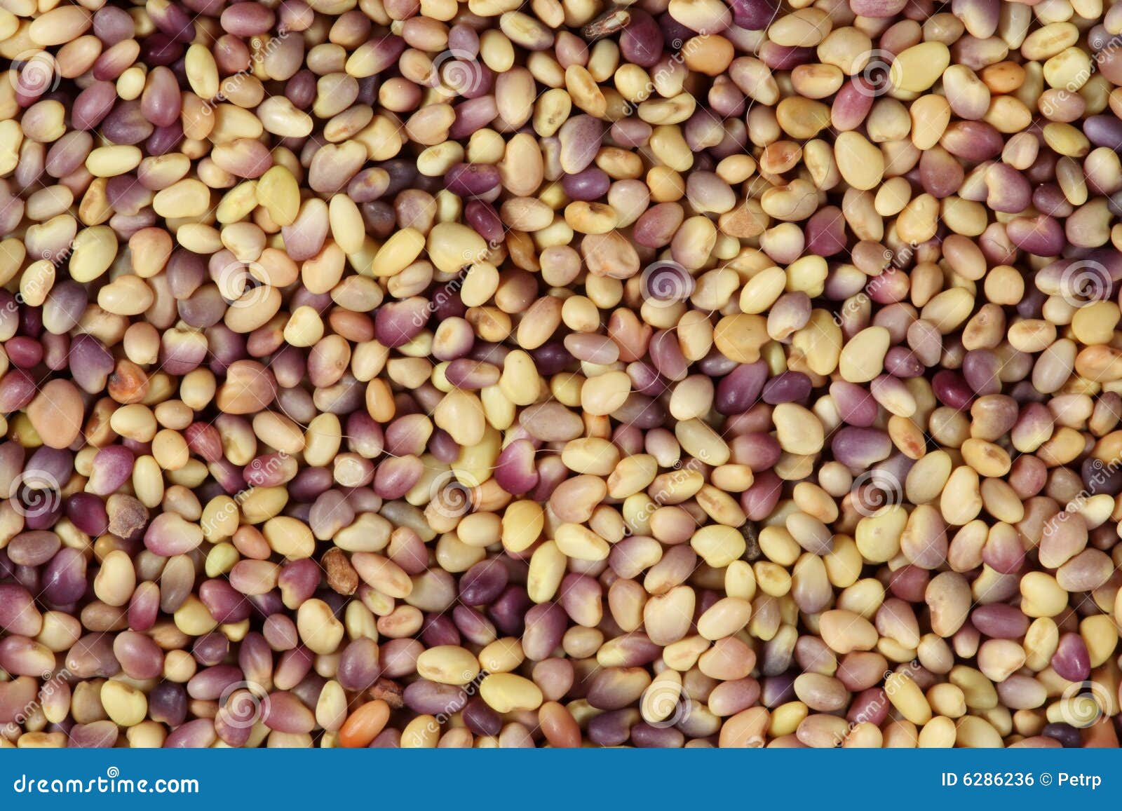 Colorful Seeds Mixture Close-up Picture. Image: 6286236