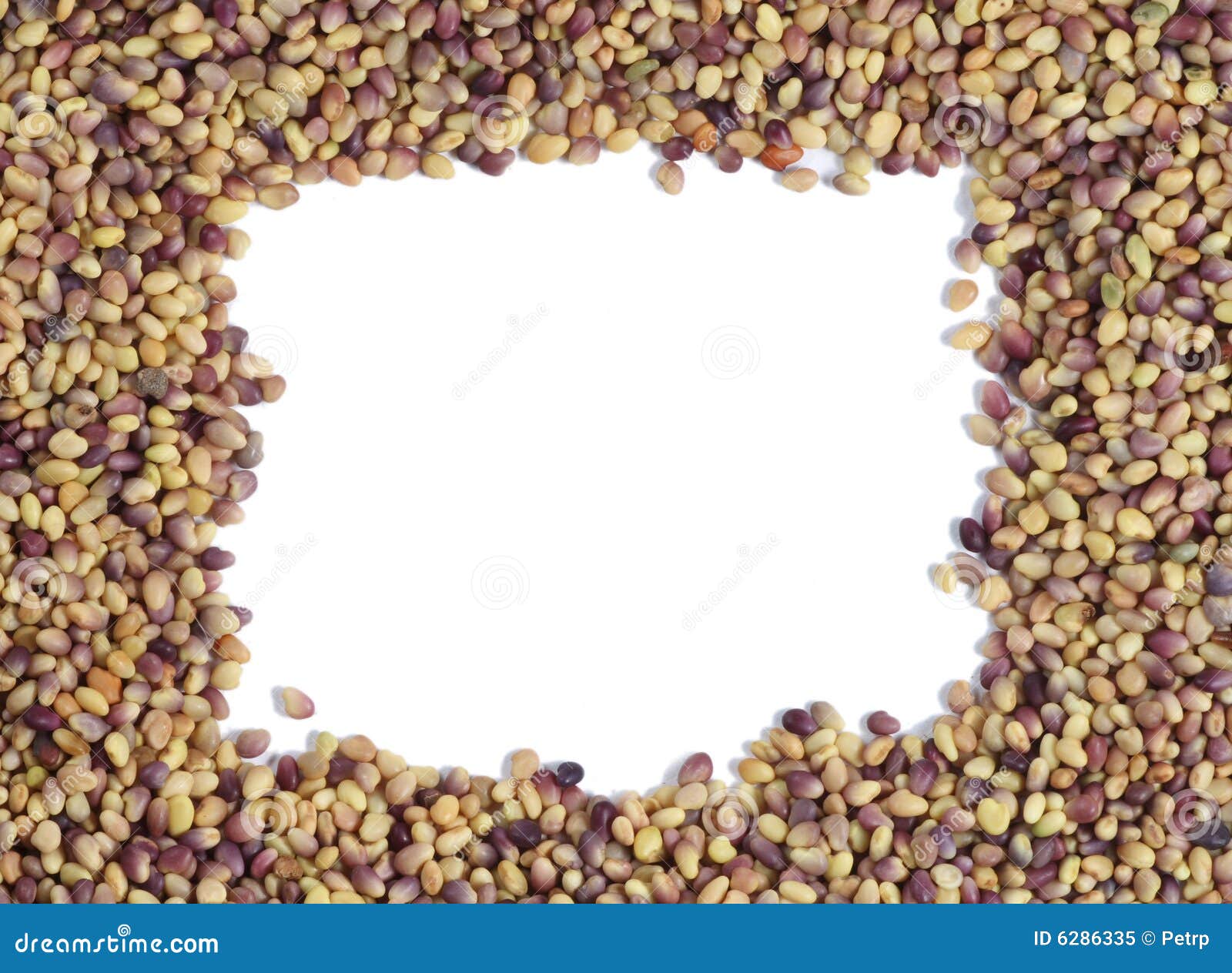 Colorful Seeds Mixture Close-up Picture. Image: 6286335