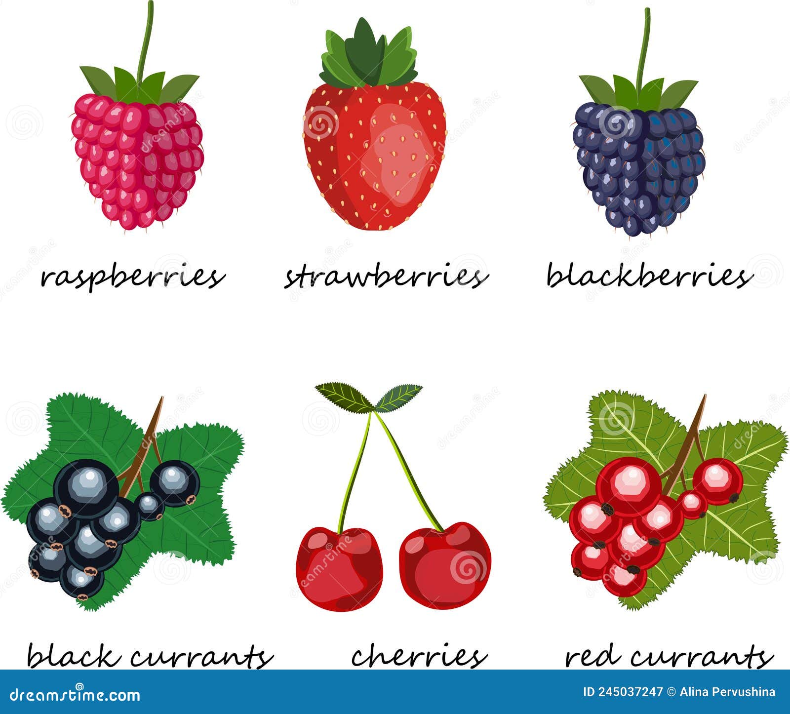 Colorful Set of Garden Berries with Names Stock Vector - Illustration ...