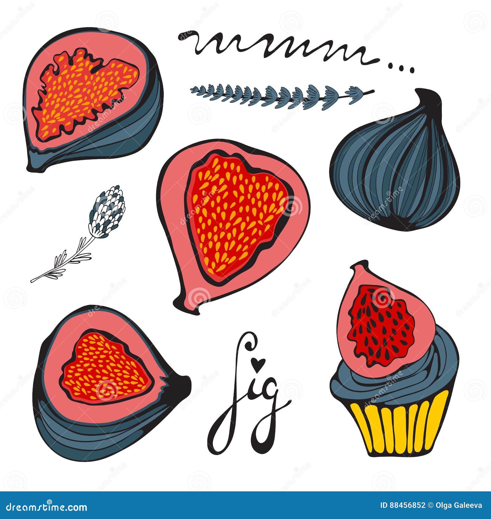 Colorful Set of Hand Drawn Figs Stock Vector - Illustration of ...