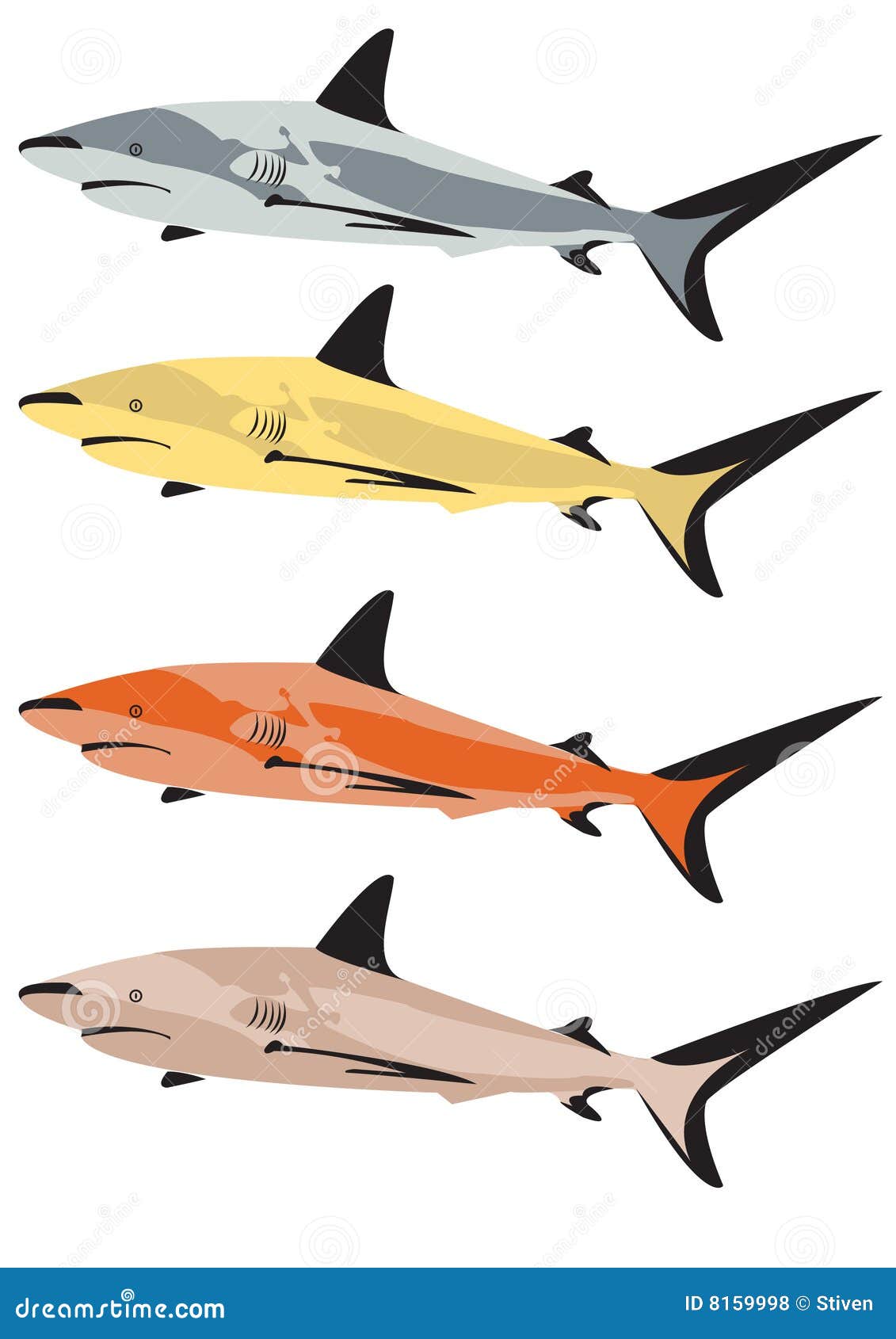 Colorful Sharks Picture. Image: 8159998