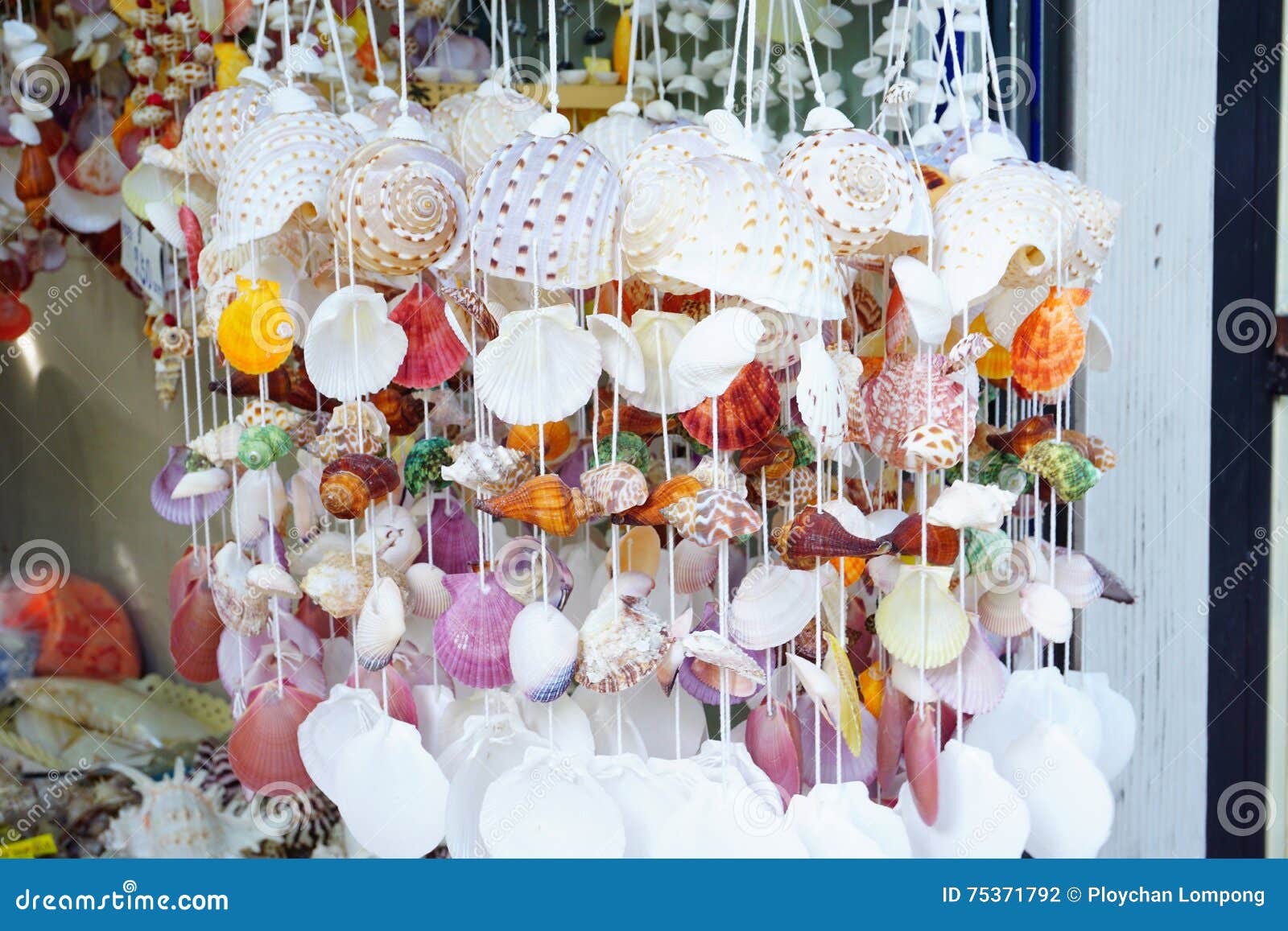 The Colorful Shell Curtain Made from Shells Decoration Stock Photo ...
