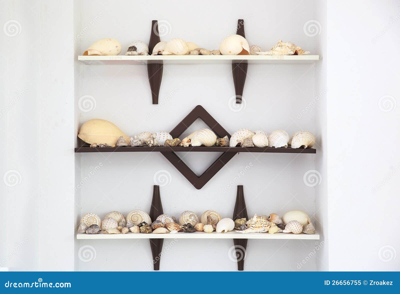 Colorful shell on a shelf stock image. Image of folio - 26656755