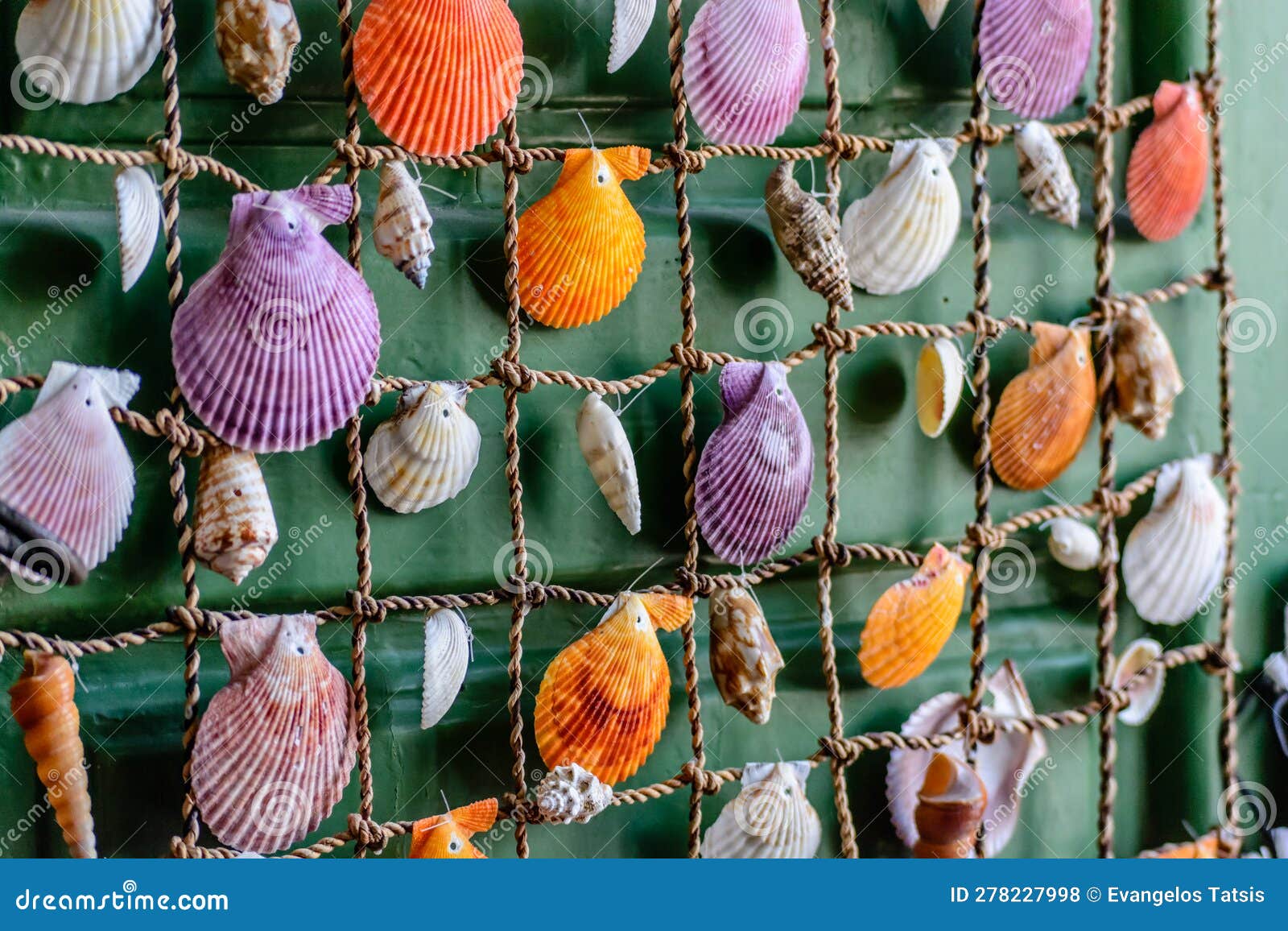 Colorful Shells Hanging on a Net Stock Photo - Image of beach ...