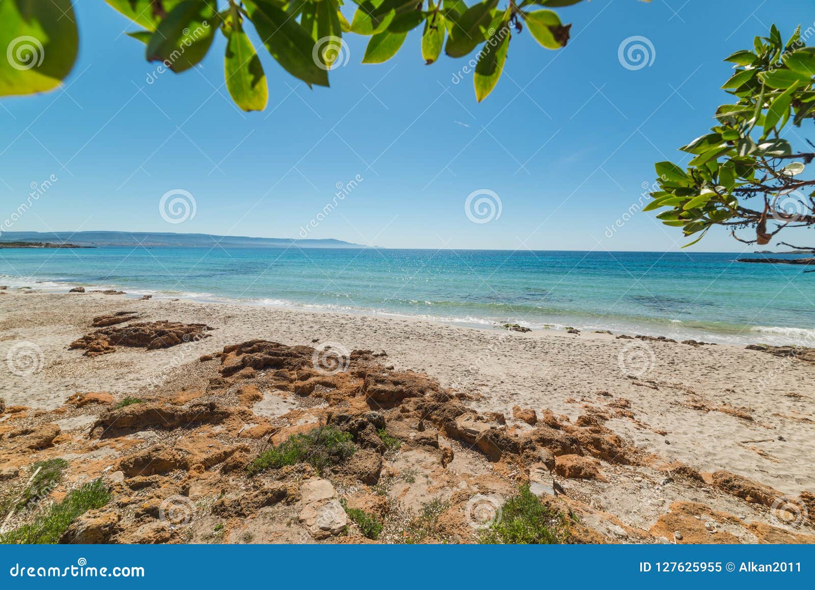 Colorful Shore in Le Bombarde Beach in Alghero Stock Image - Image of ...