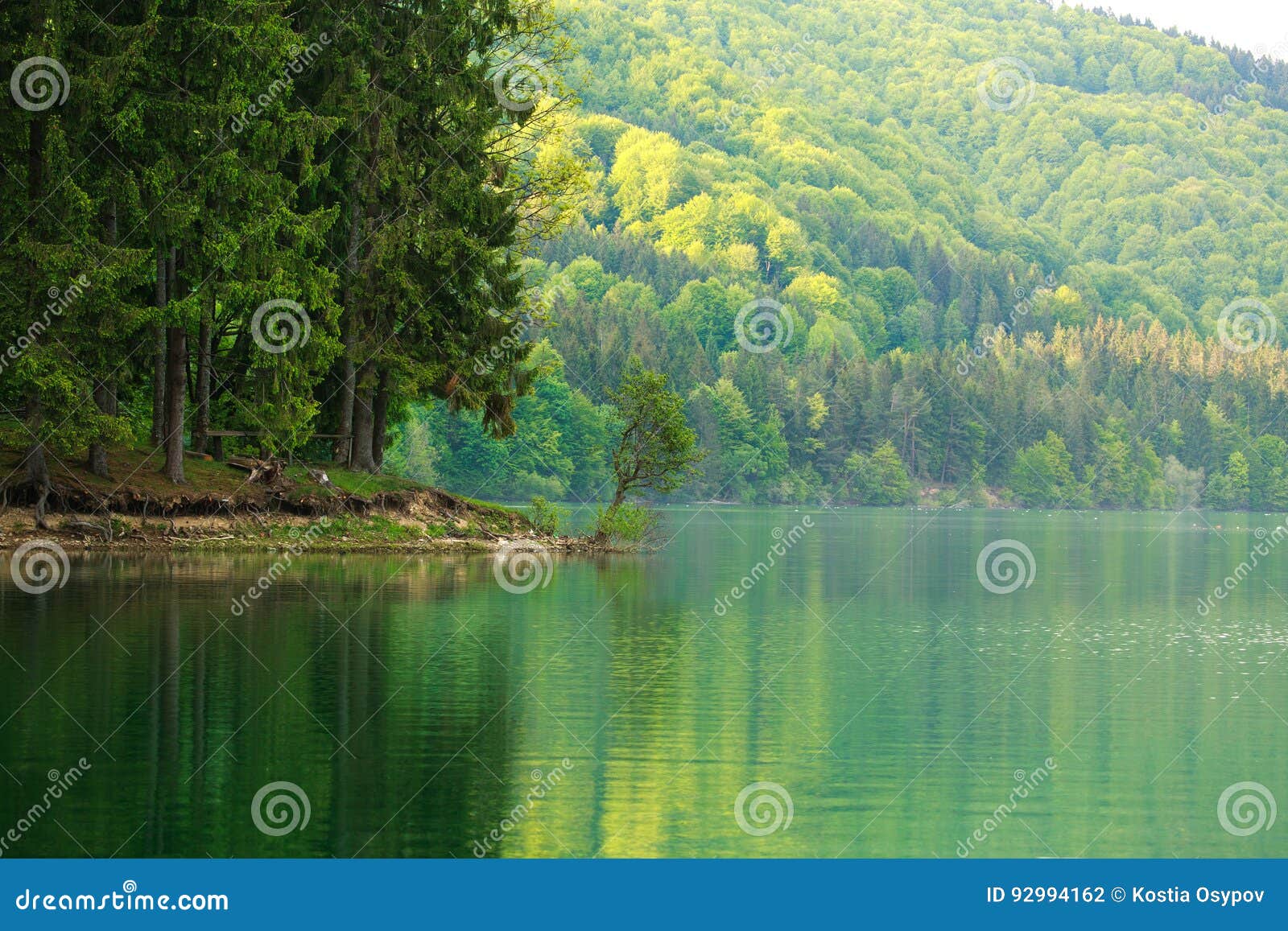 Colorful Shore of Mountain Forest by Lake in Morning Sunlight Stock ...