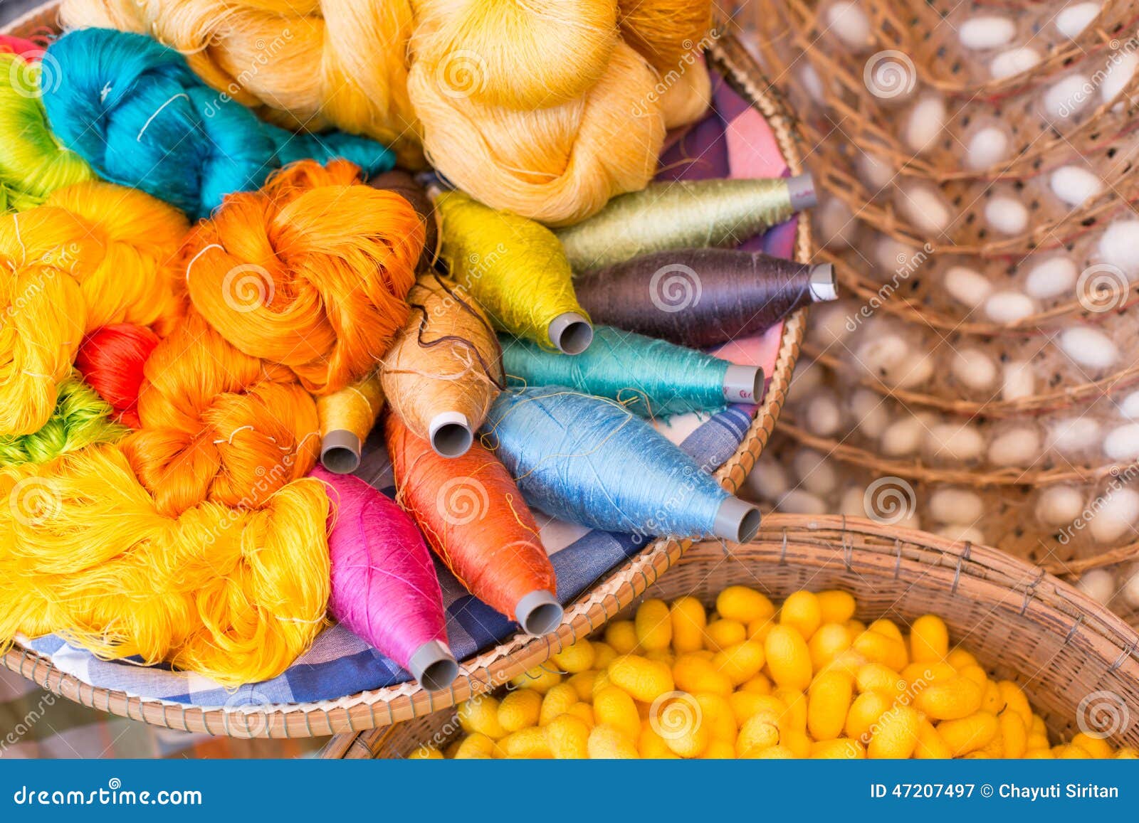 Silkworm Cocoon Colour