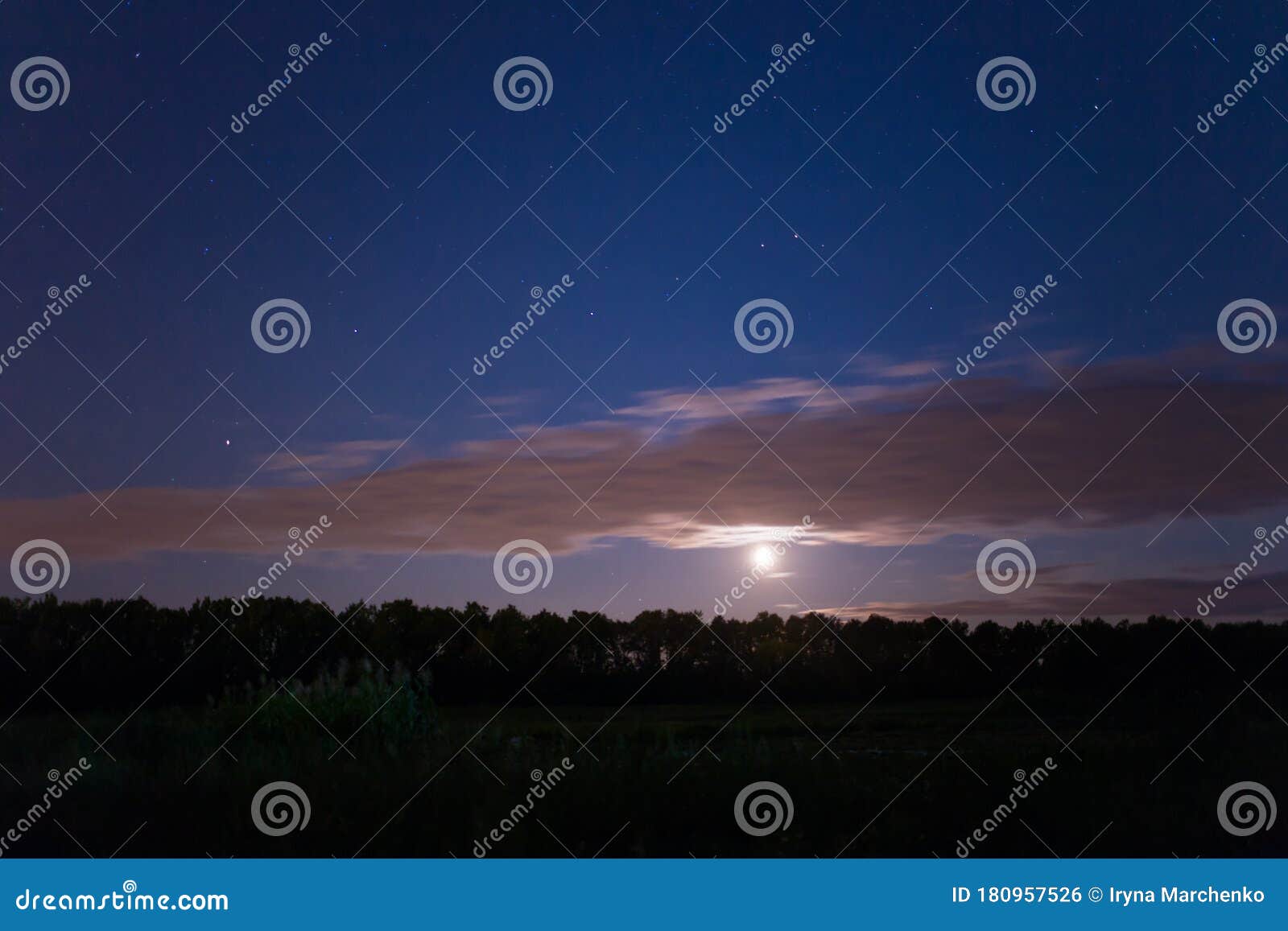 Colorful Sky during Moonset. Stock Photo - Image of light, forest ...