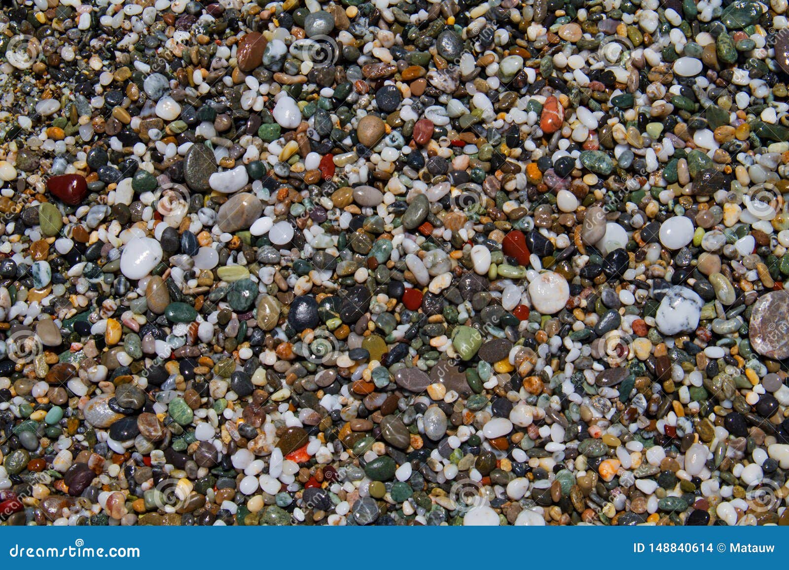 Pebbles on a shingle beach stock photo. Image of colour - 148840614