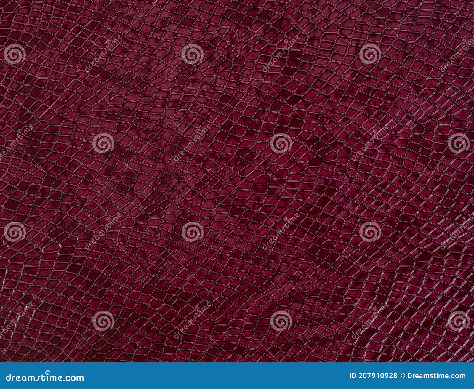 Colorful Snake Natural Pattern on a Background. Patterns Stock Photo ...