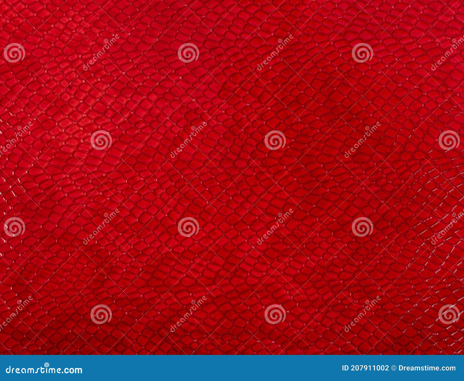 Colorful Snake Natural Pattern on a Background Stock Photo - Image of ...