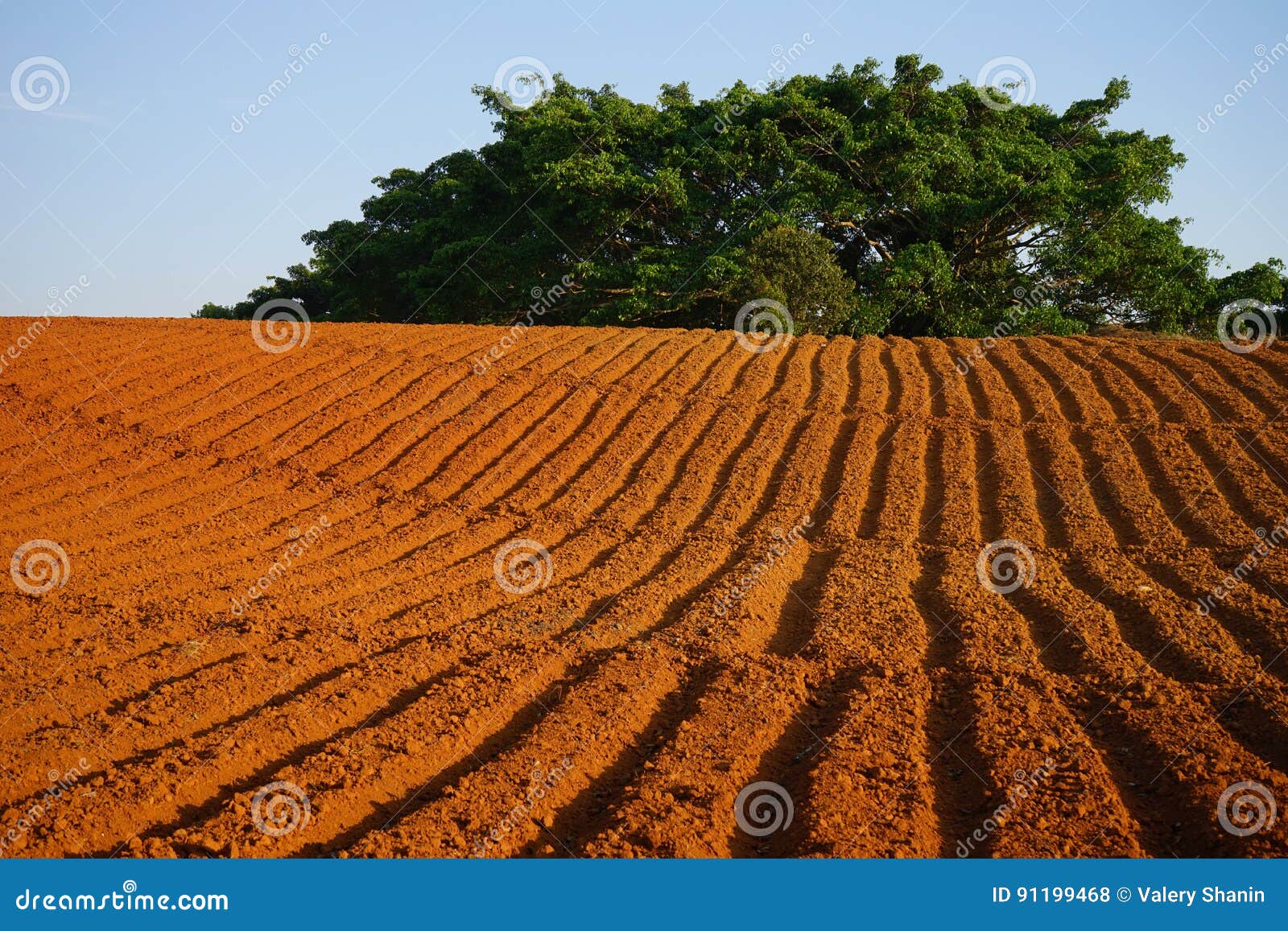 Colorful soil stock photo. Image of soil, landscape, orange - 91199468
