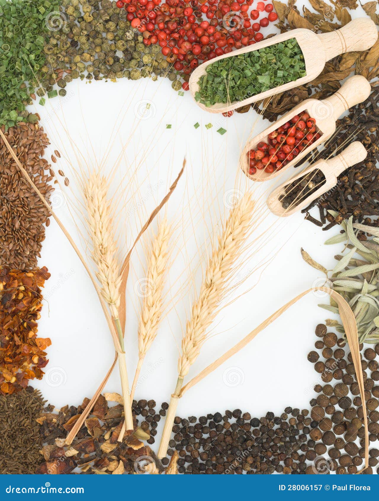 Colorful spices frame stock image. Image of leaf, border - 28006157