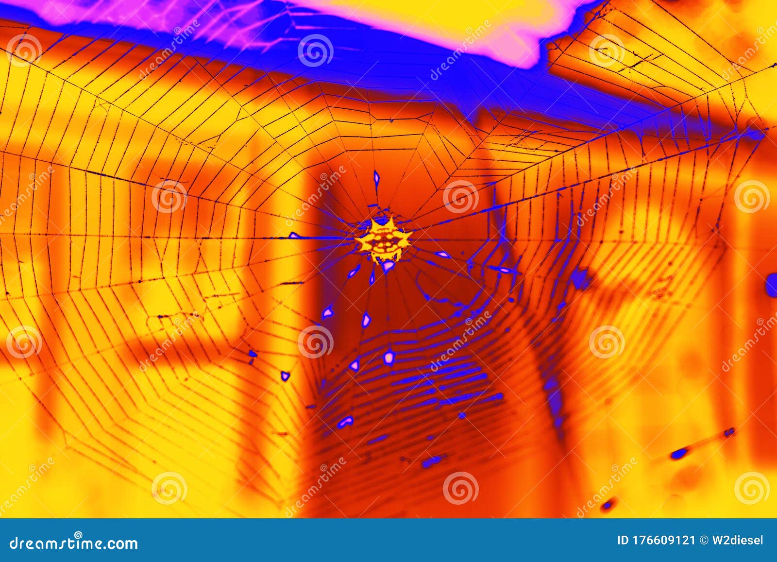 Colorful Spider 3d Abstract Design Stock Image - Image of white, ocean ...