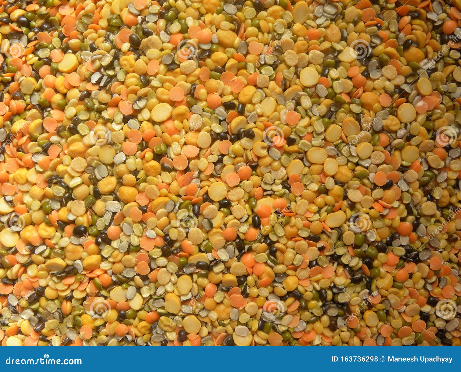 Colorful split lentils stock photo. Image of close, macro - 163736298
