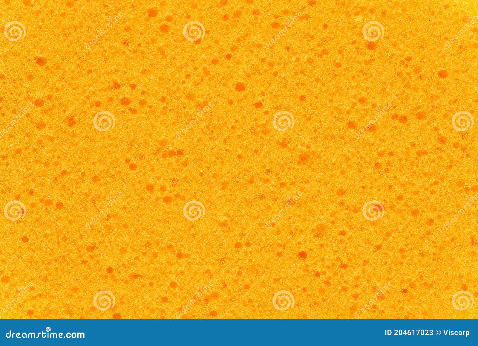 Colorful Sponge Texture Background Stock Image - Image of green, food ...