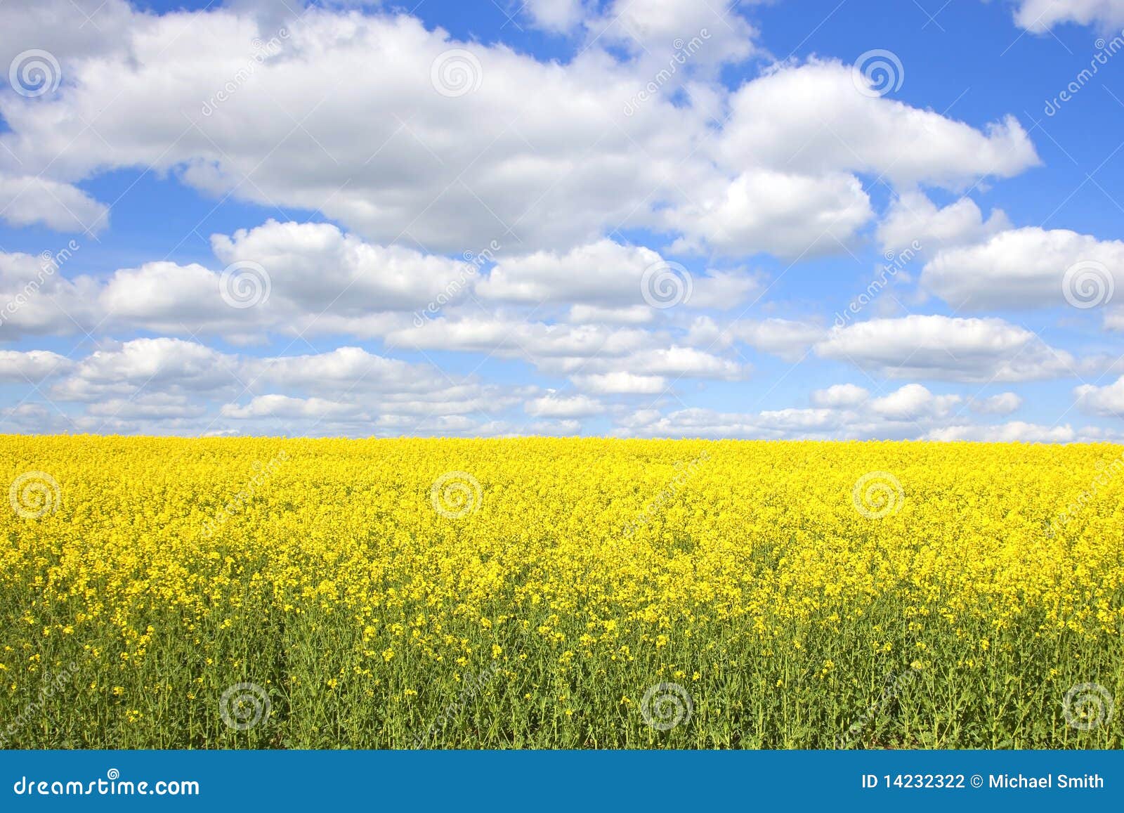 Colorful spring day stock photo. Image of commercial - 14232322