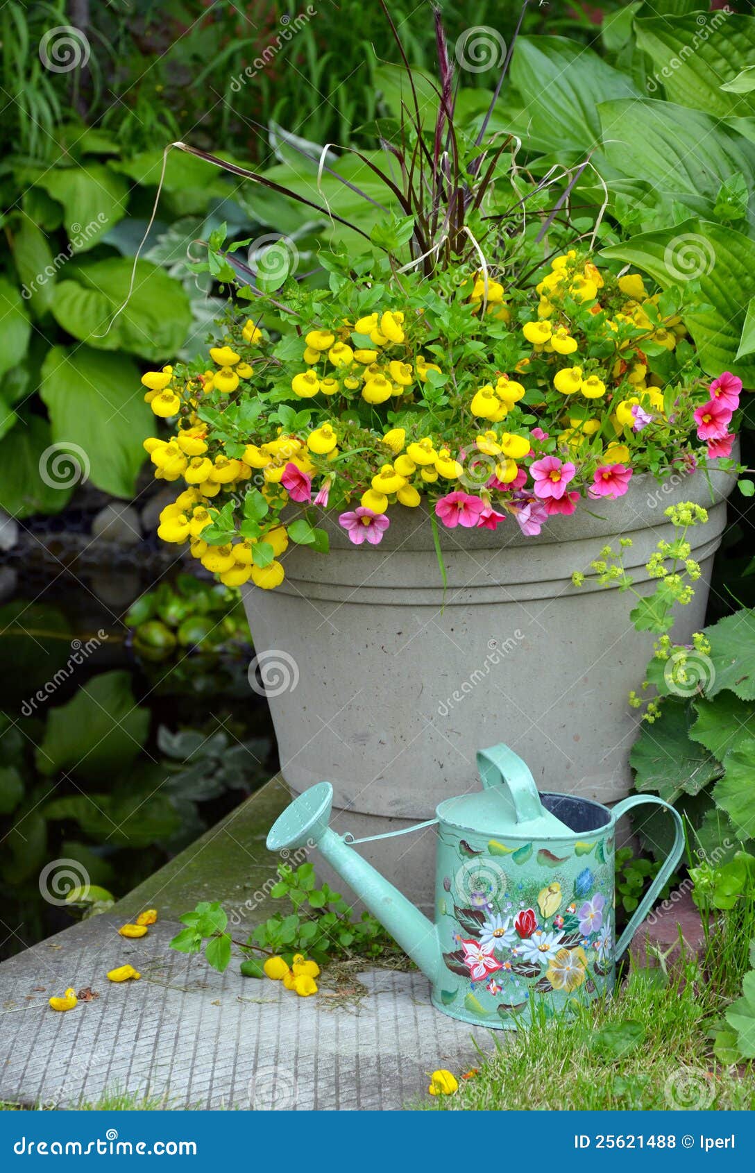 Colorful Spring Flower Planter Stock Photo - Image of green, watering ...