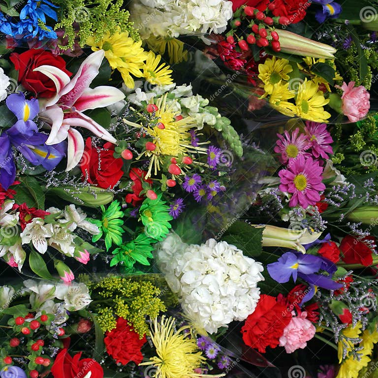 Colorful Spring Flowers stock photo. Image of spring, present - 329998