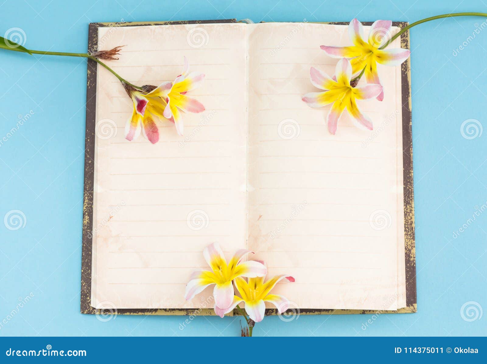 Colorful Spring Flowers, with Blank Open Diary for Text. Stock Image ...