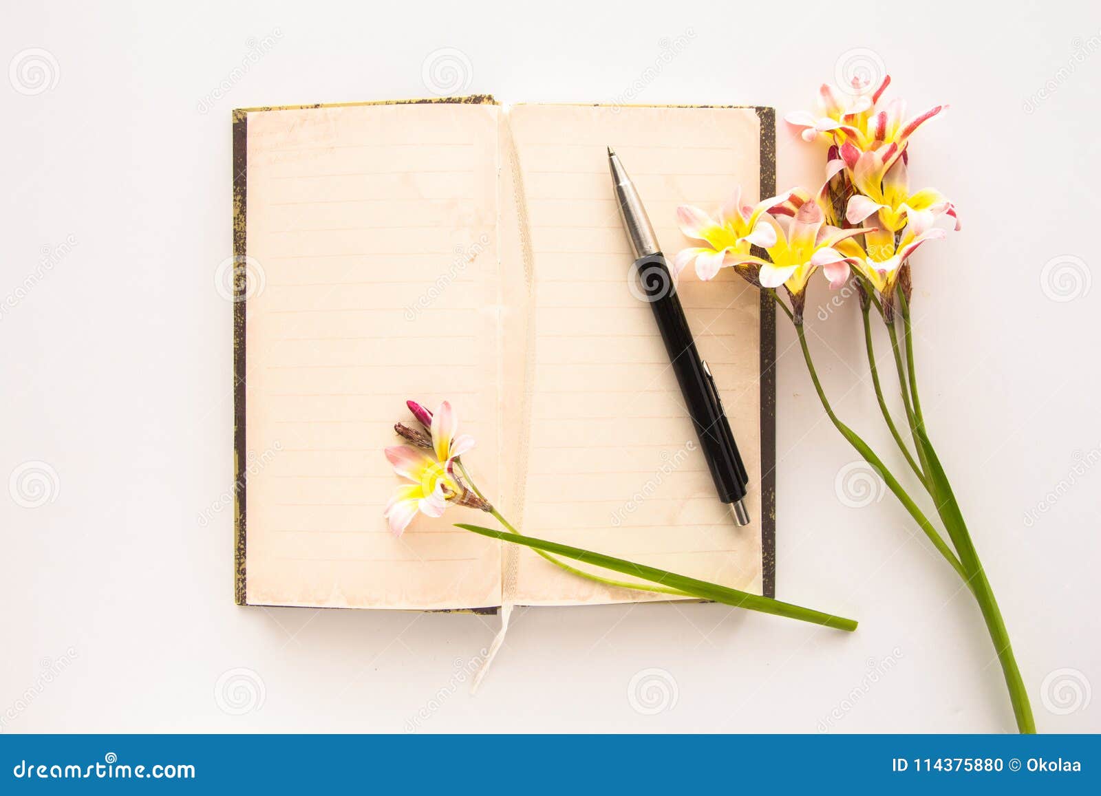 Colorful Spring Flowers, With Blank Open Diary For Text. Stock Photo ...