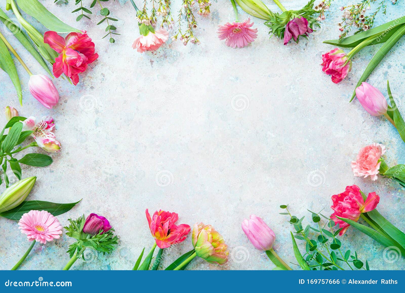 Colorful Spring Flowers Frame Stock Photo - Image of flat, decorative ...