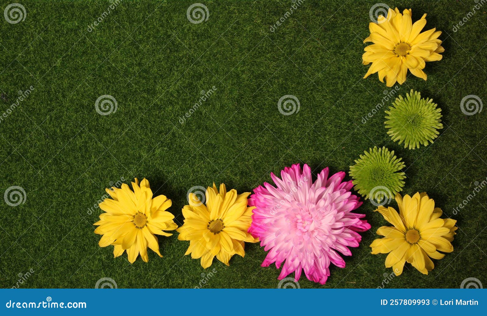 Colorful Spring Flowers on Green Grass Top View Stock Image - Image of ...